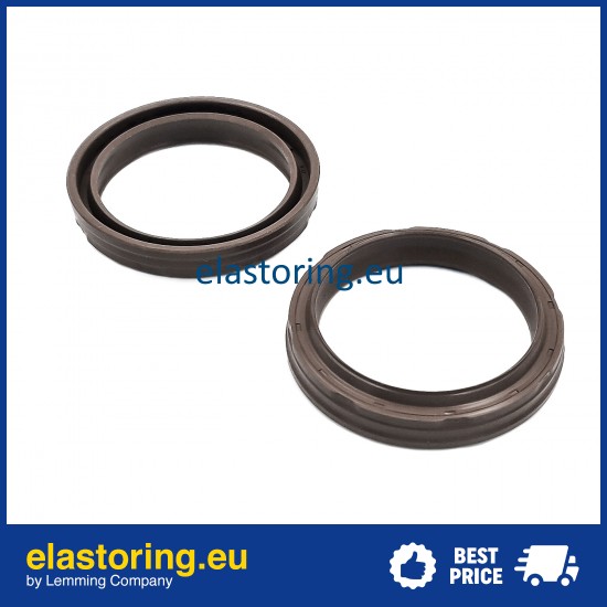 Wiper NIPSL 40x50x7/9,5 FPM