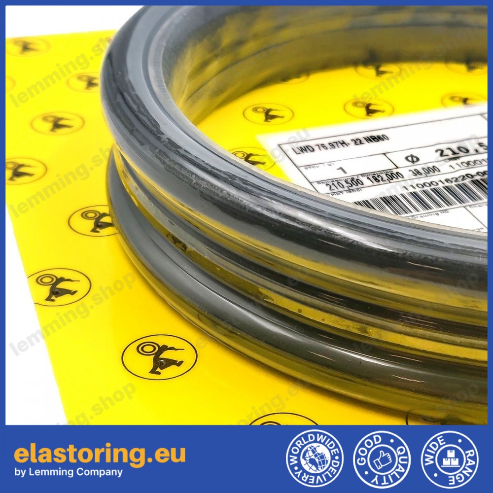 Face seal Goetze 76.97H-22 NB60