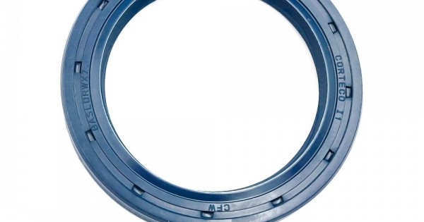 Oil seal 45x60x7 BASLDRWX7 NBR