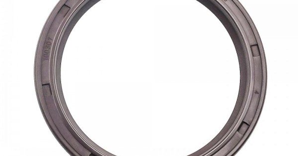 Oil seal 80x100x10 A FPM